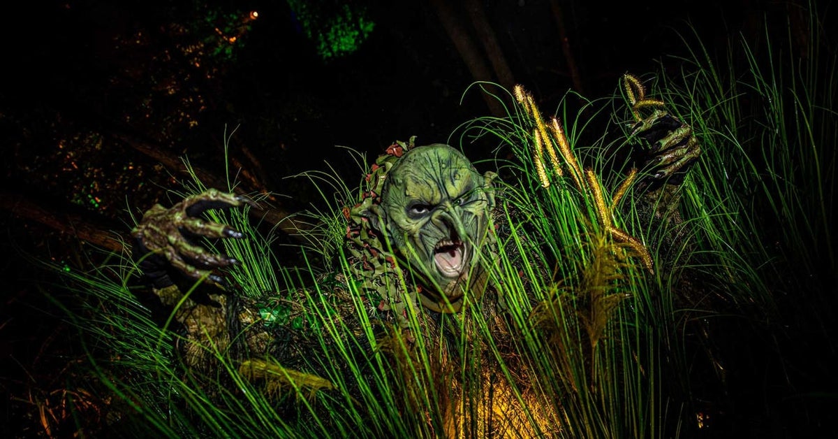 Wicked Woods