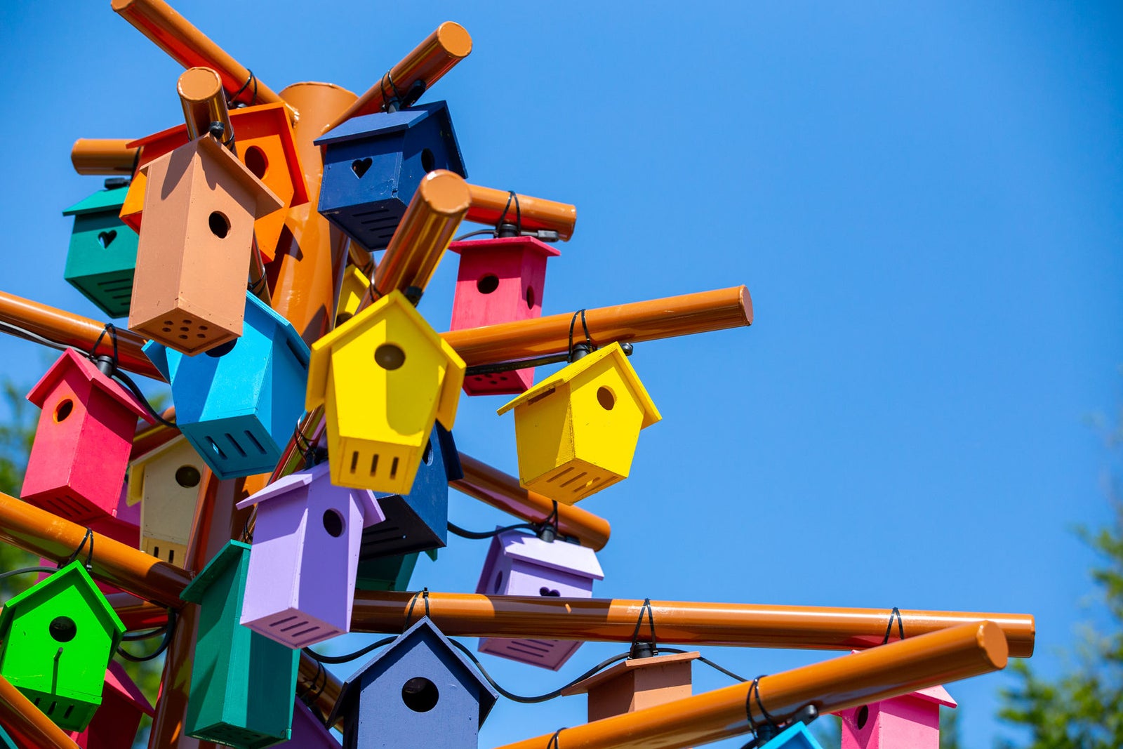 Contact met Walibi Village - Walibi Holland