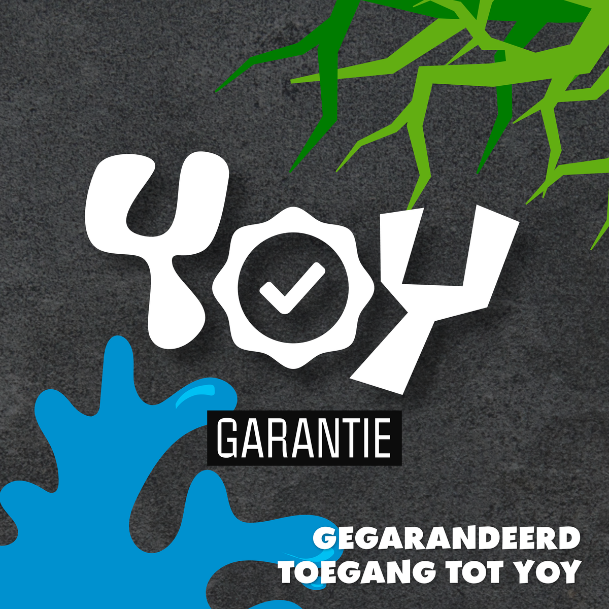 De opening van YOY - De nieuwste achtbaan van Walibi Holland